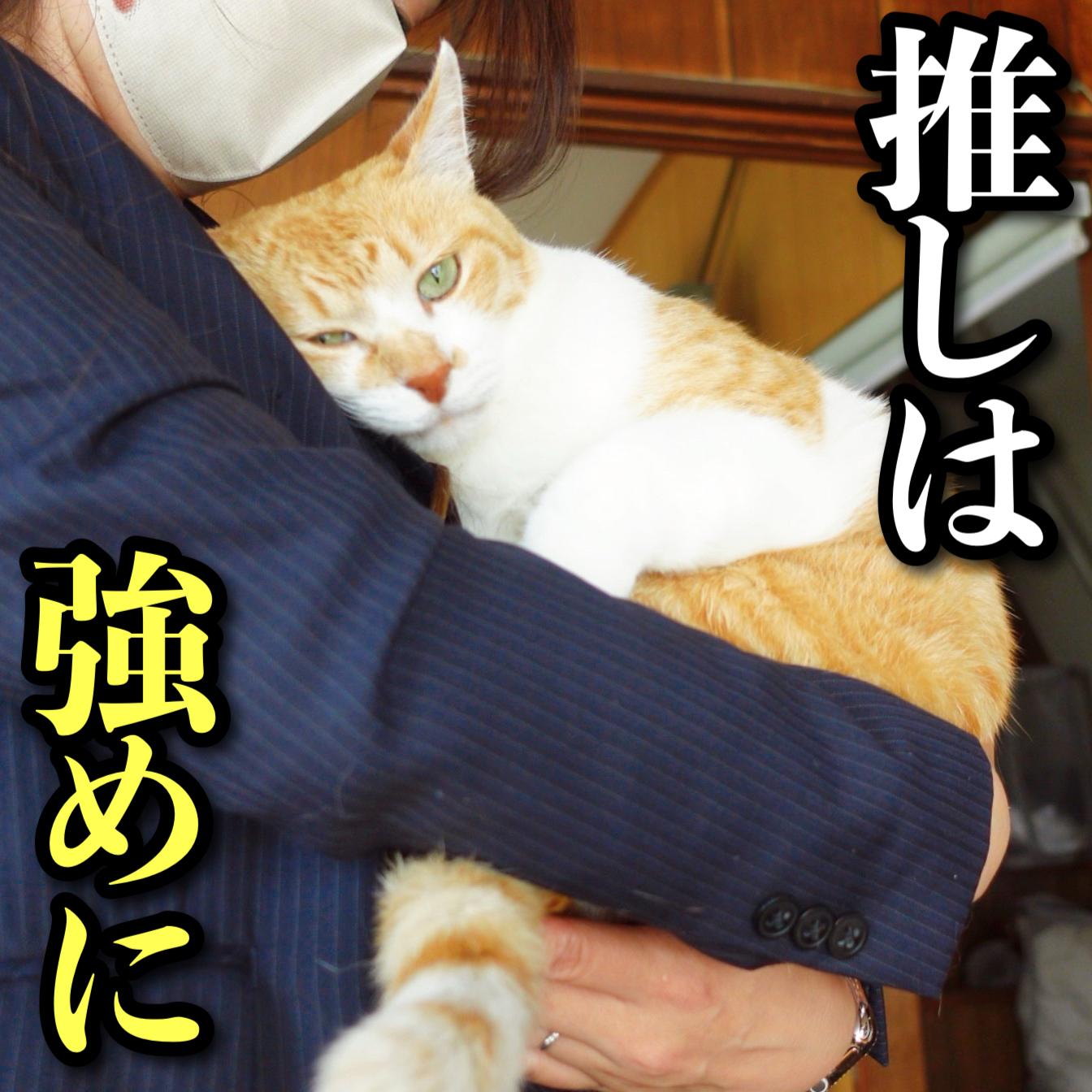 phonto (4) | 元野良猫チャチャとR me